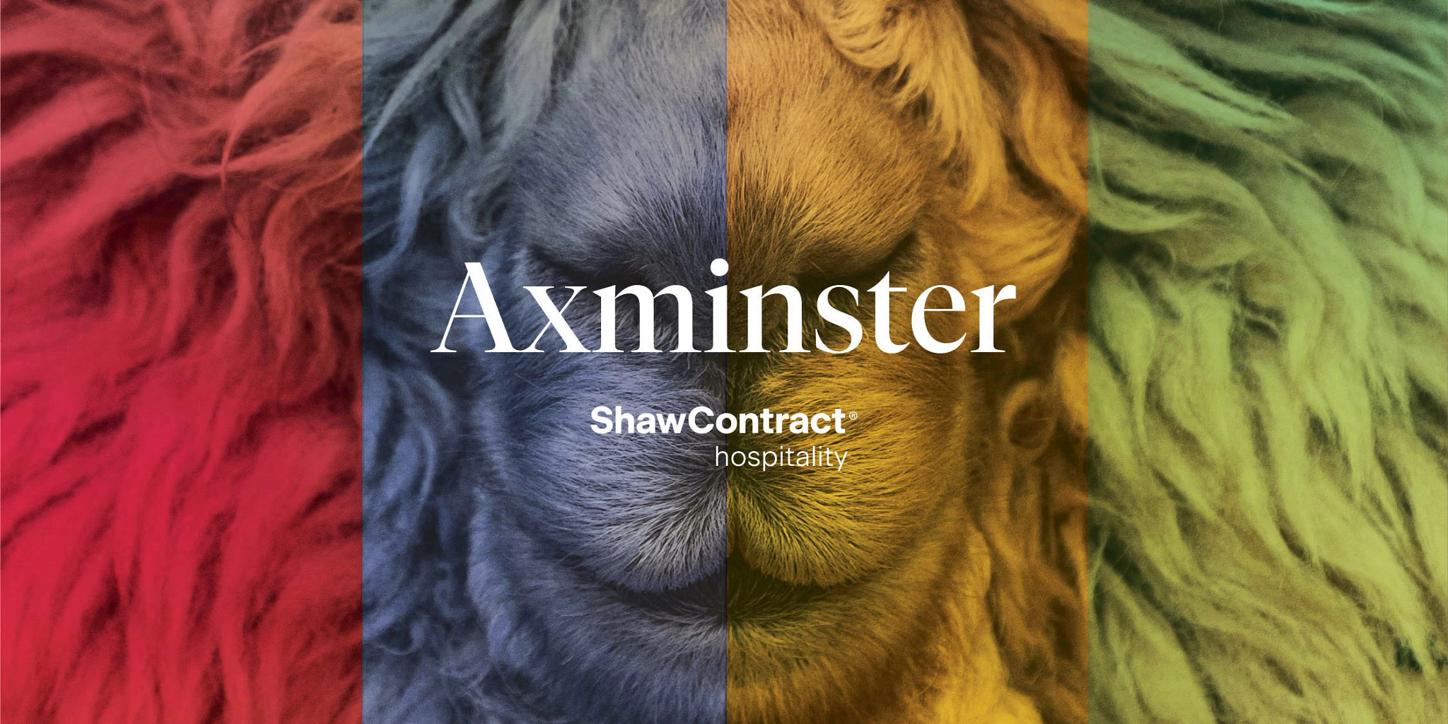 Axminster | ShawContract